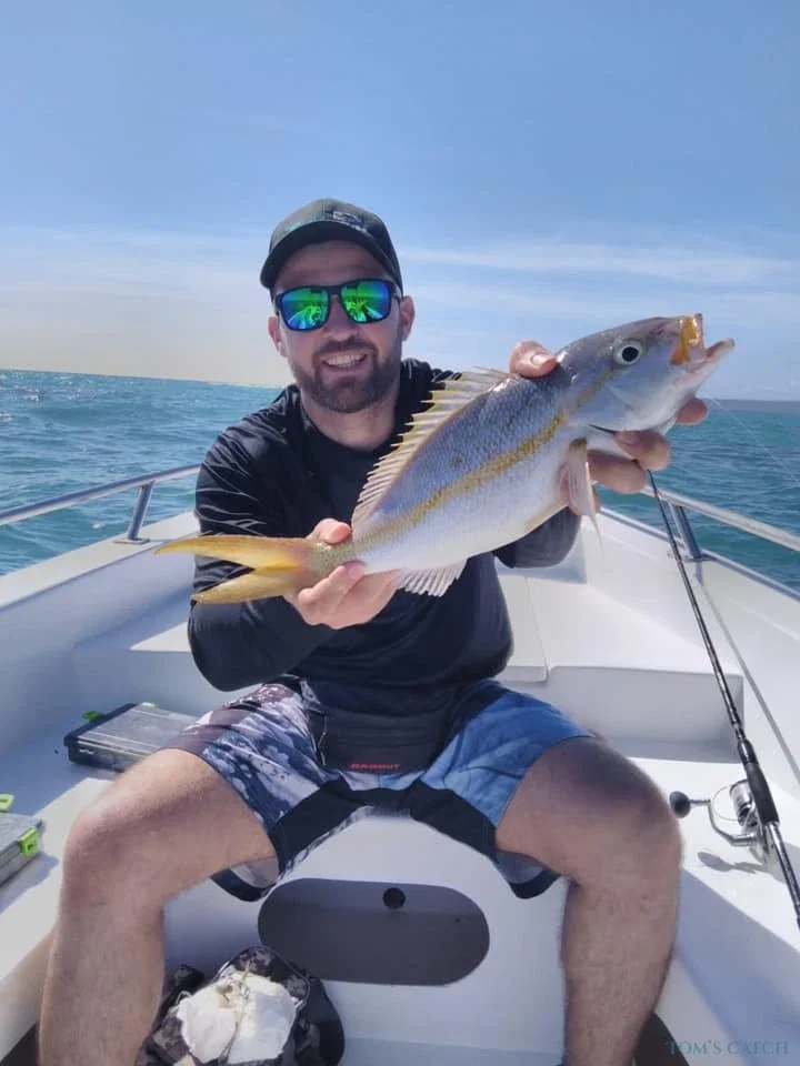 Half day trip in Punta Cana Aboard Ballyhoo Contender with Captain ...